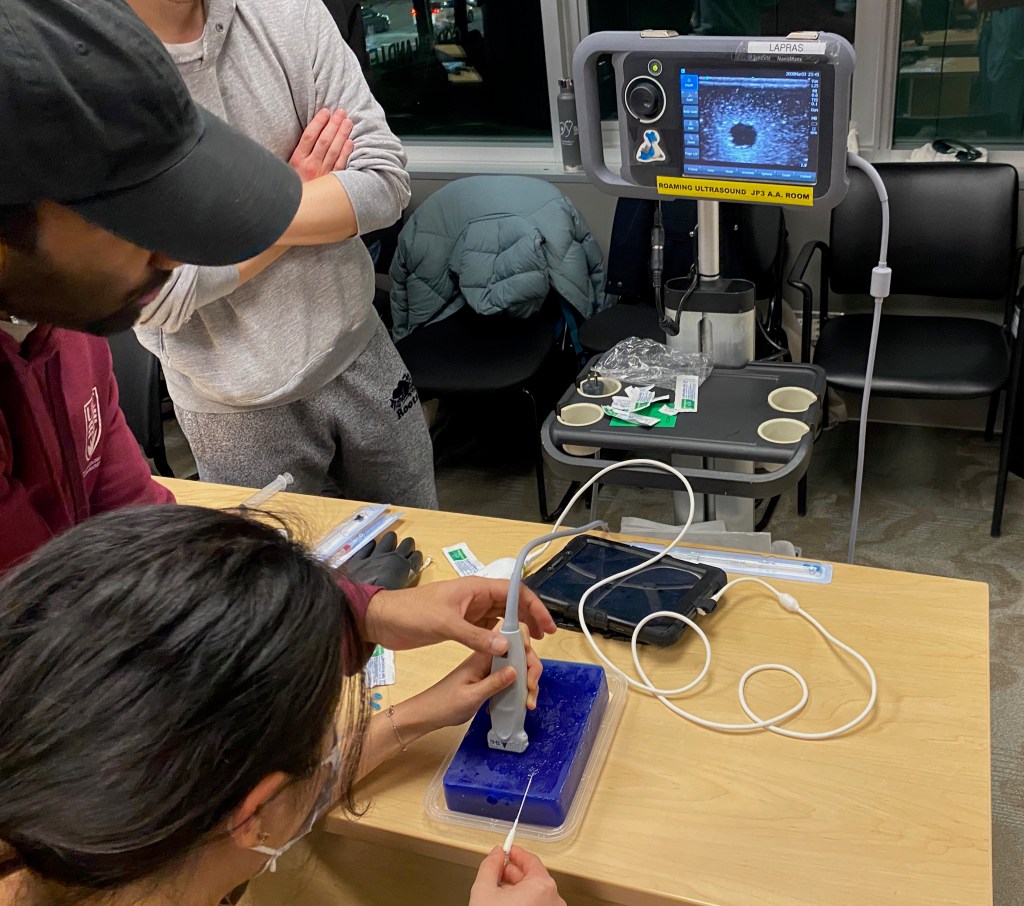 Creating Affordable Gelatin Phantoms for Ultrasound-Guided Vascular ...